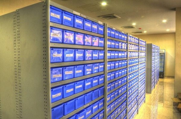 The Definitive Guide to Generic Drug Approval in the U.S.: From ANDA to ...